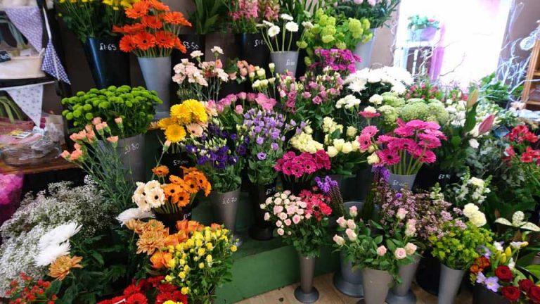 About – Ellens Florist Norwich